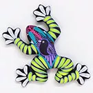 Mexican Frogs & Lizards